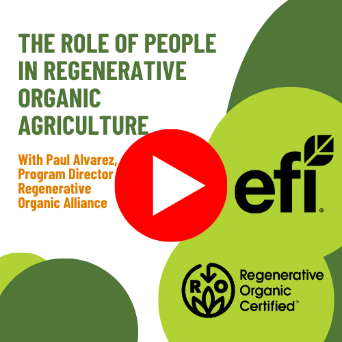 Courses & Workshops - Equitable Food Initiative