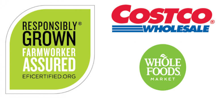 Consumidores - Equitable Food Initiative