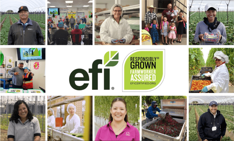 Latest News - Equitable Food Initiative