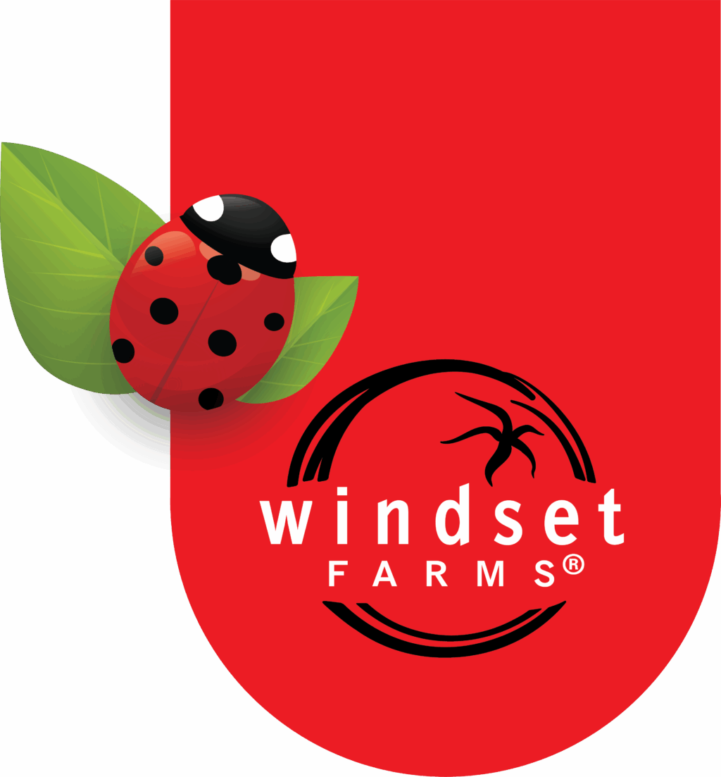 Cultivating Excellence with Windset Farms - Equitable Food Initiative