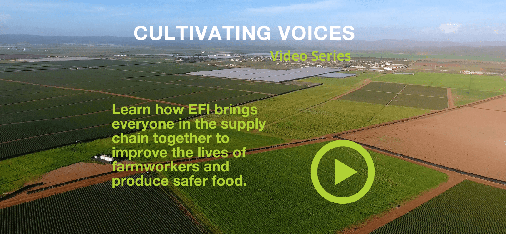 Home - Equitable Food Initiative